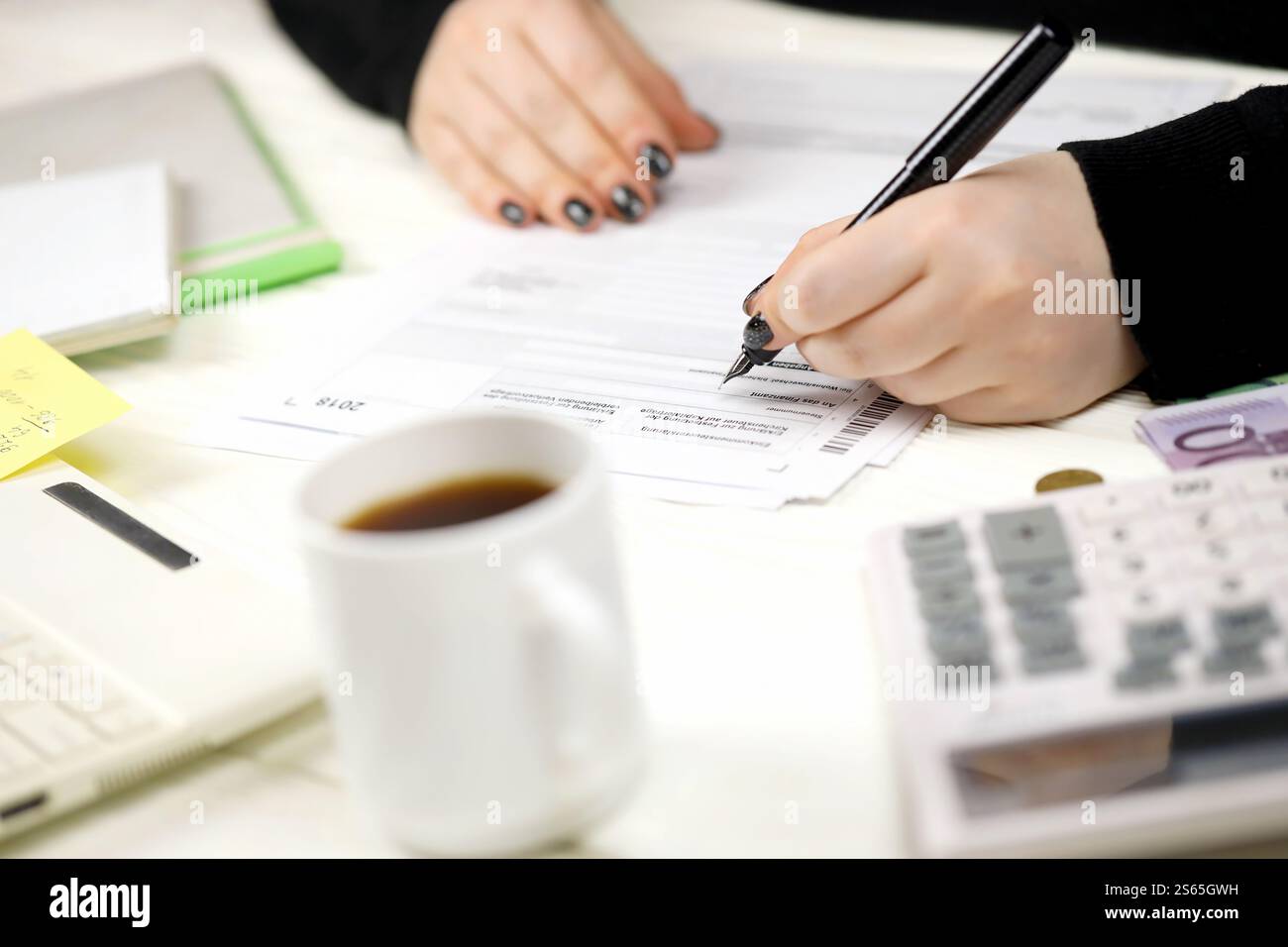 Accountant fill german tax form Einkommensteuererklarung in end of tax ...