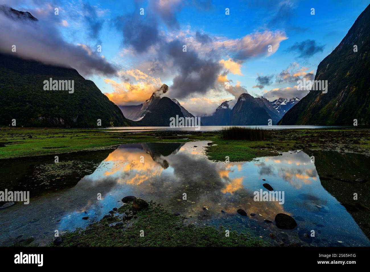 Milford Sound / Piopiotahi is a fiord in the south west of New Zealand ...