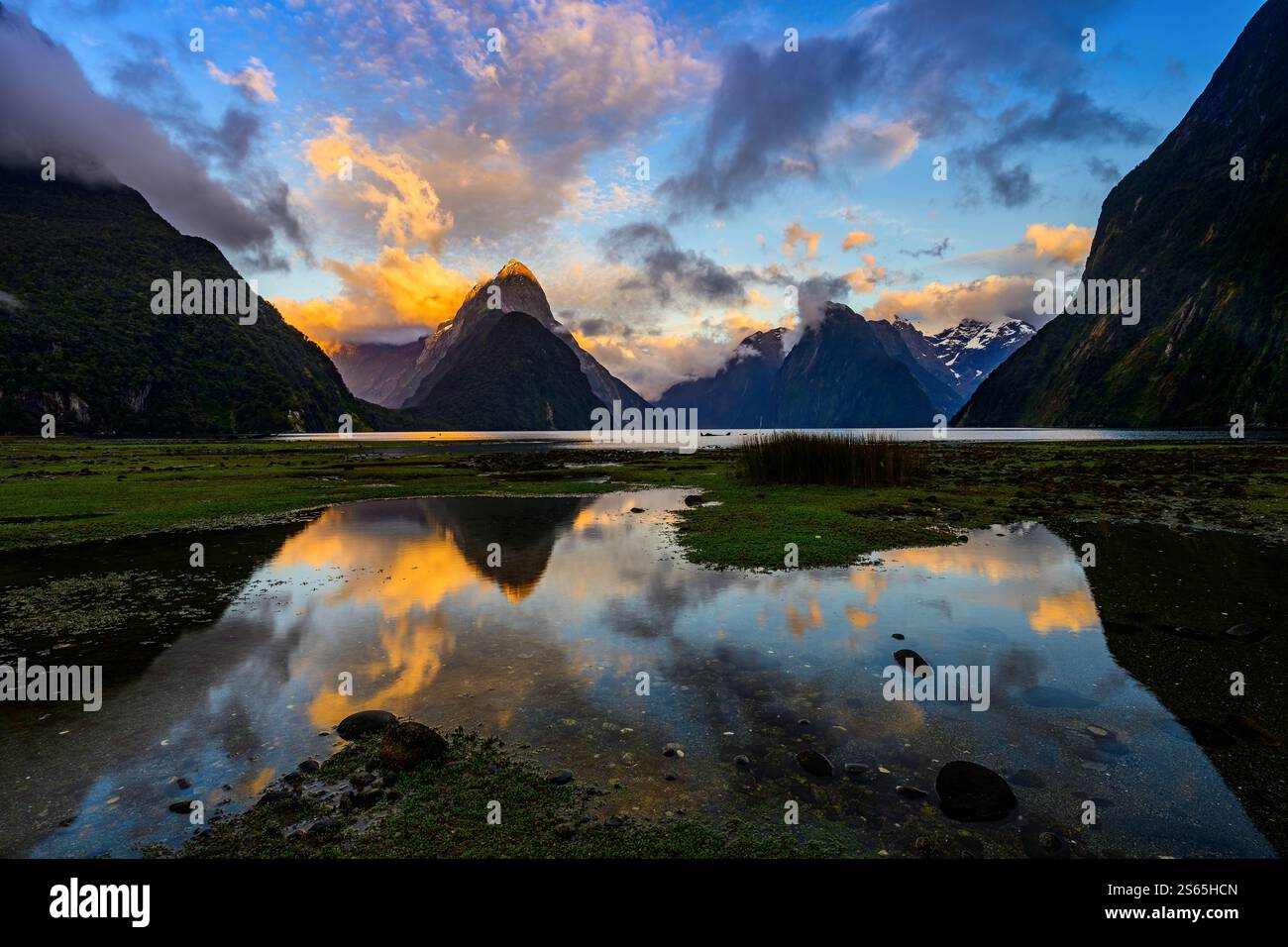 Milford Sound / Piopiotahi is a fiord in the south west of New Zealand ...