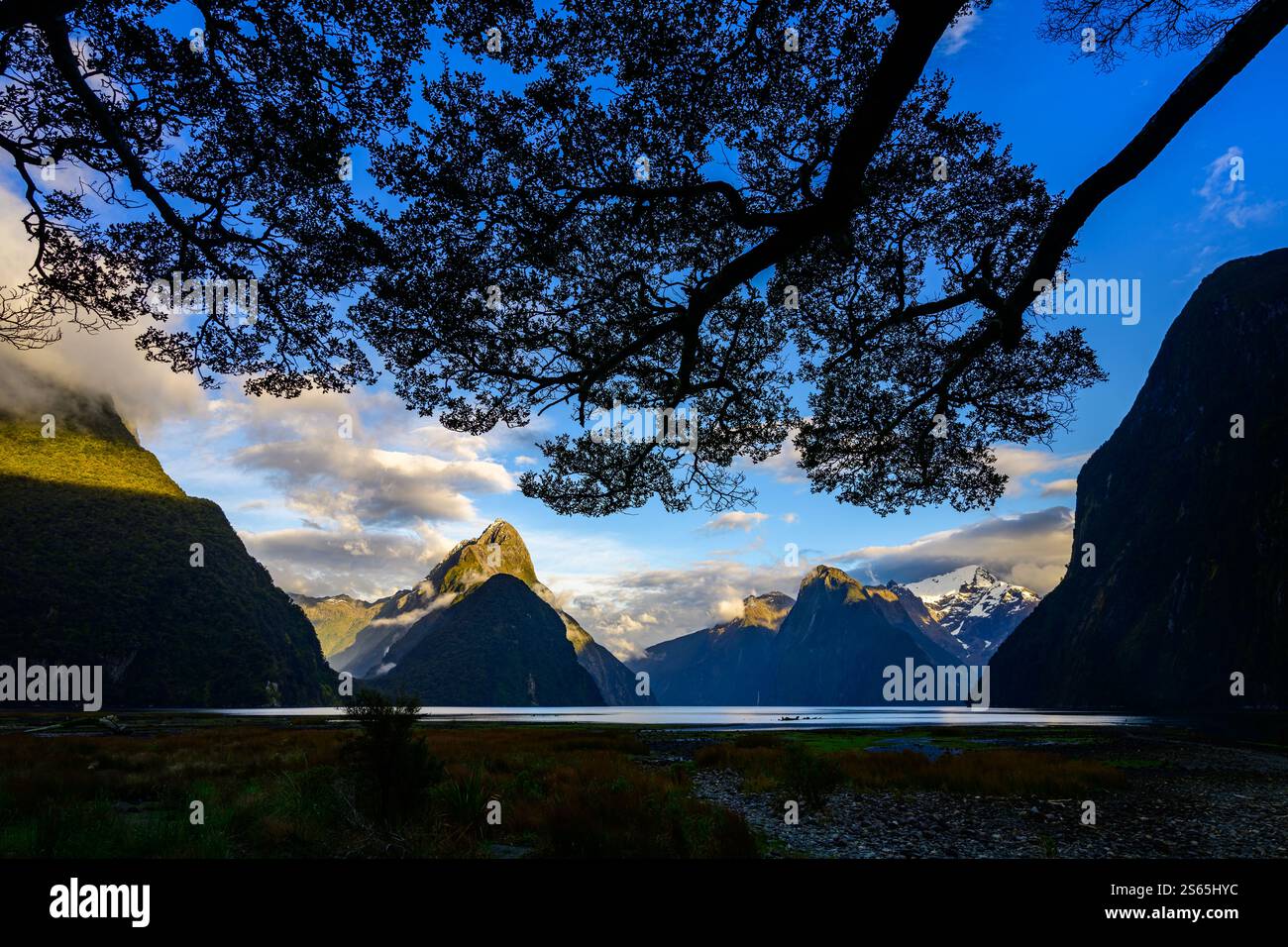 Milford Sound / Piopiotahi is a fiord in the south west of New Zealand ...
