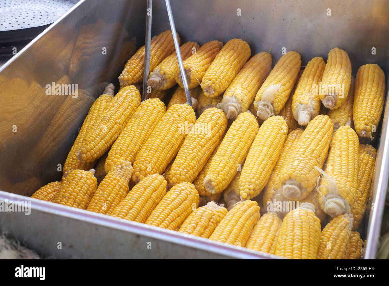 Enjoy freshly steamed corn on the cob for a delightful snack Stock ...