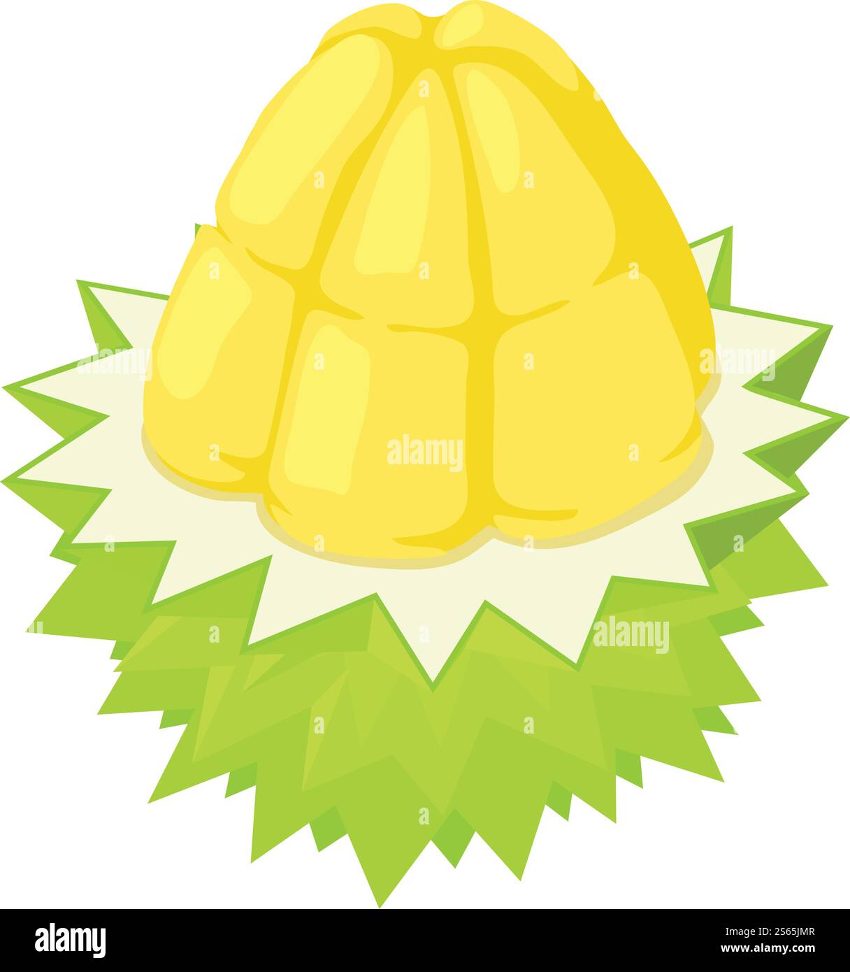 Half durian fruit icon. Isometric of half durian fruit vector icon for ...