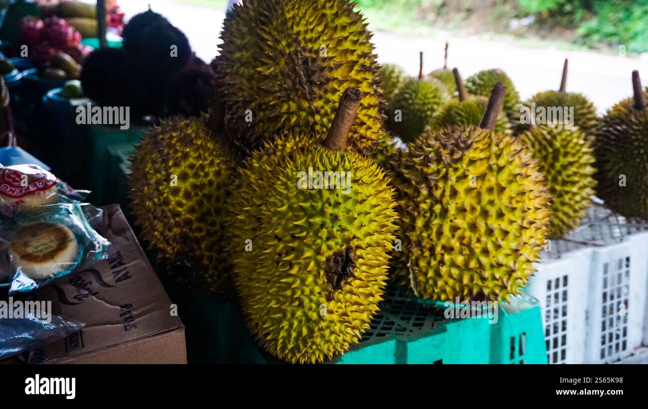 A pile of fresh durians displayed on a market stall, with their spiky ...