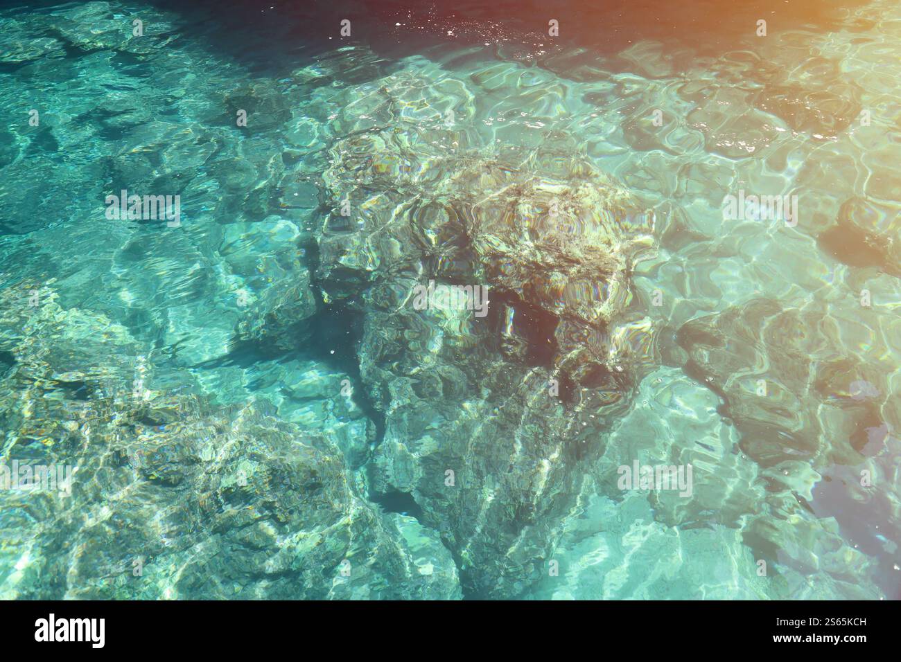 Underwater photography selective focus. Stones at the bottom of the ...