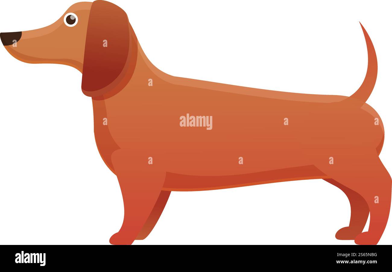 Pedigree dachshund icon. Cartoon of pedigree dachshund vector icon for web design isolated on ...