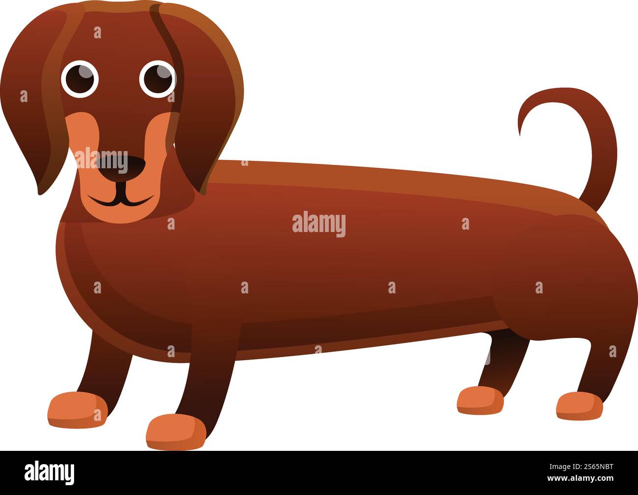 Dachshund pet icon. Cartoon of dachshund pet vector icon for web design isolated on white ...