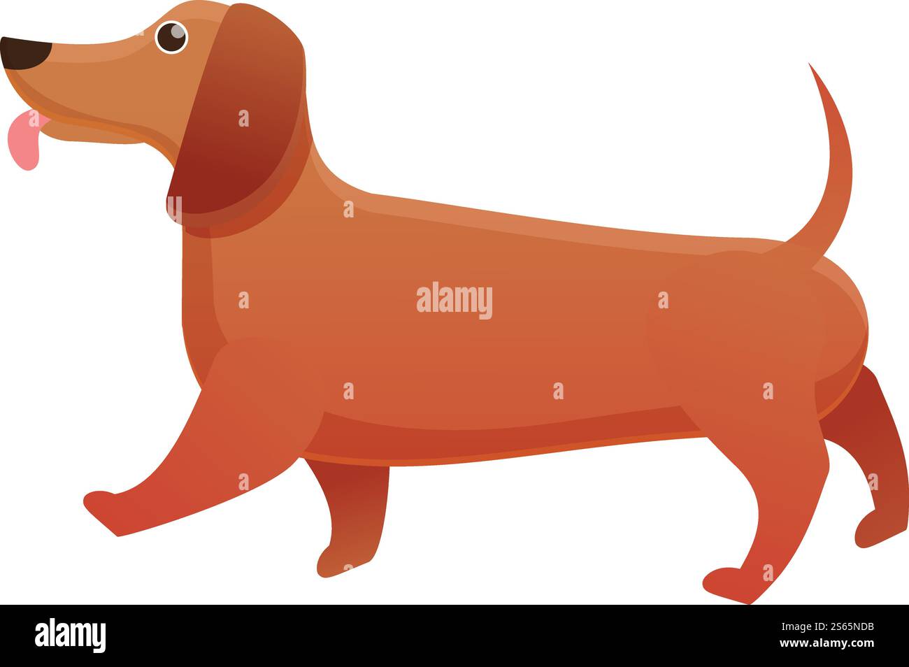 Domestic dachshund icon. Cartoon of domestic dachshund vector icon for web design isolated on ...