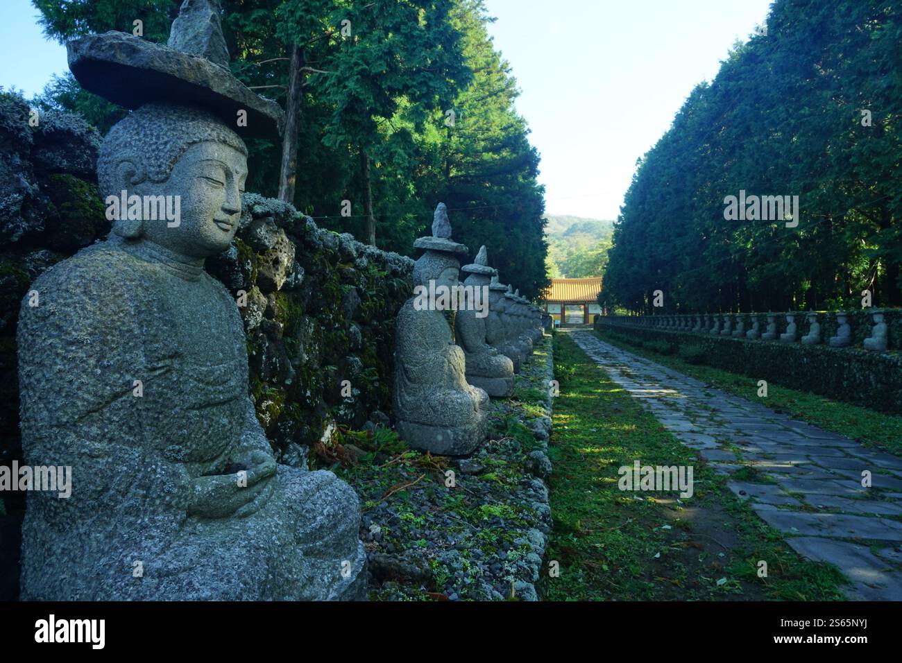Buddha statues and stone roads sitting in various forms at the entrance ...
