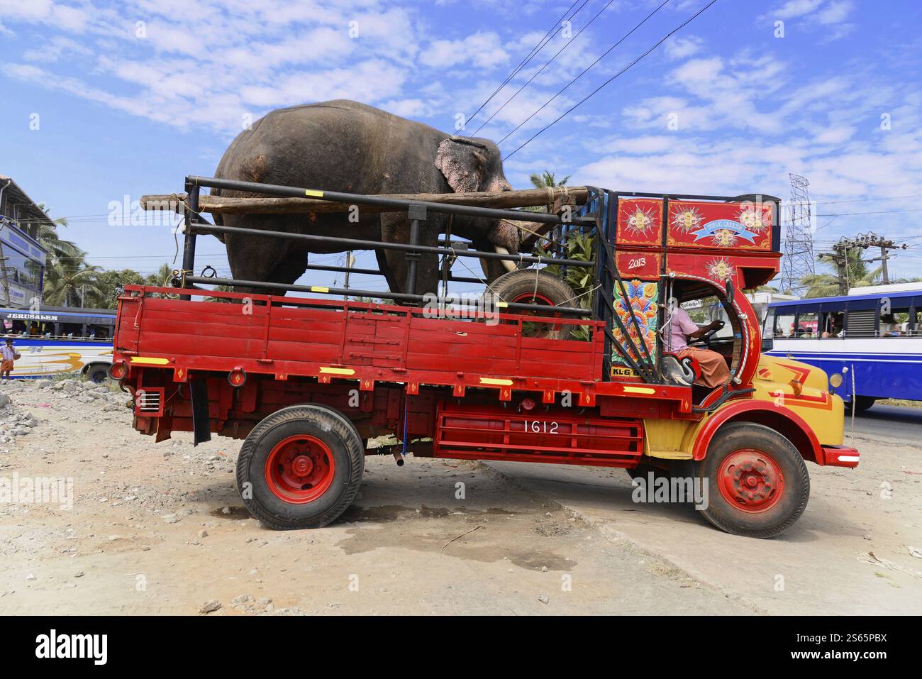 Elephant transport by truck, Fort Kochi, Kochi, Kerala, South India ...