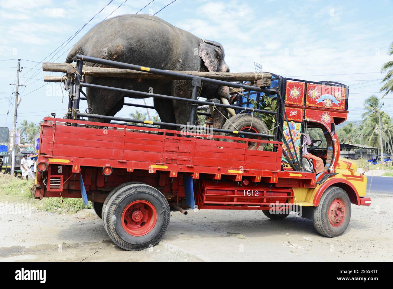 Elephant transport with truck, Fort Kochi, Kochi, Kerala, South India ...