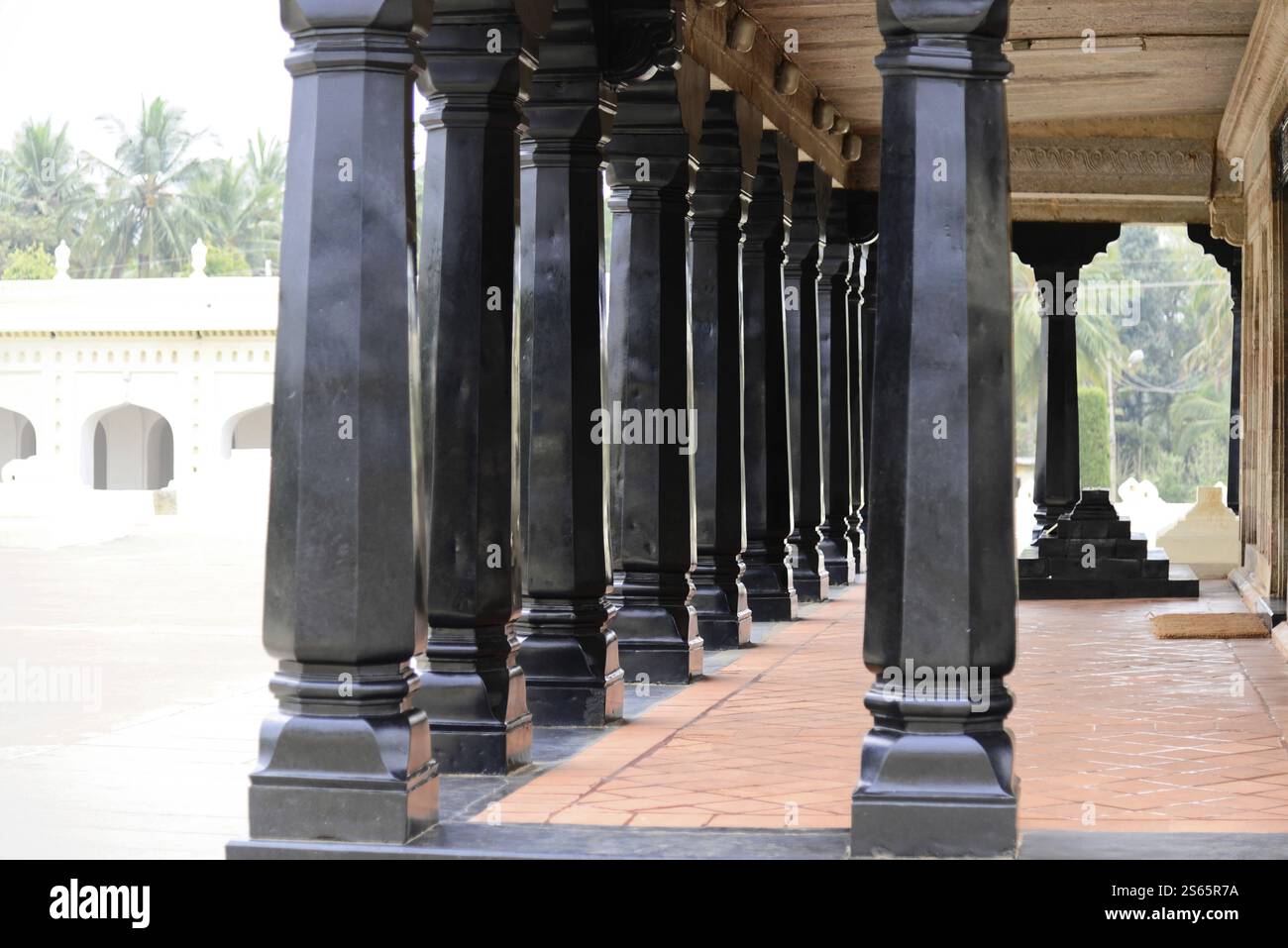 Mysore, Karnataka, South India, India, Asia, A series of black columns ...