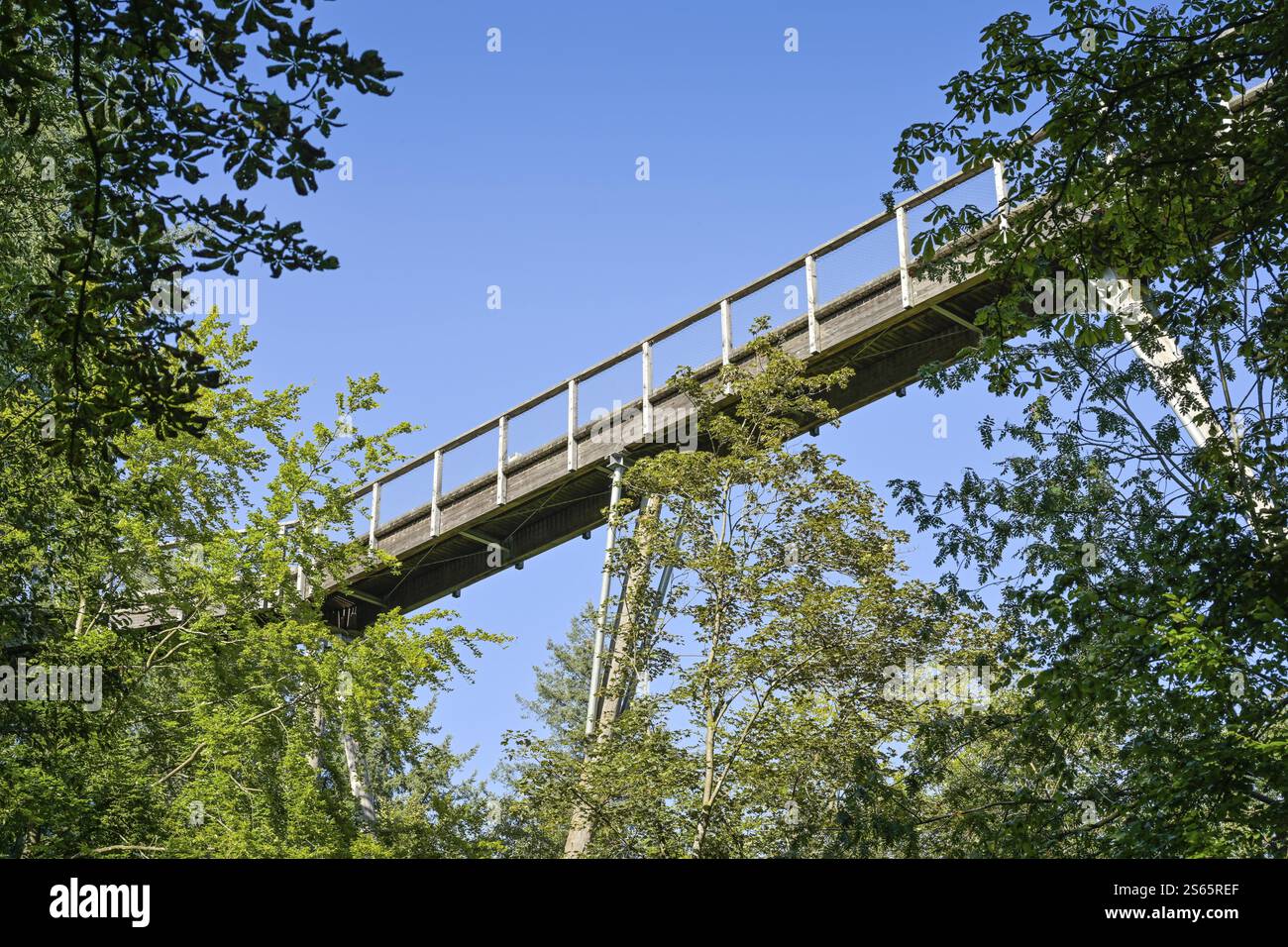 Saarschleife boardwalk hi-res stock photography and images - Alamy