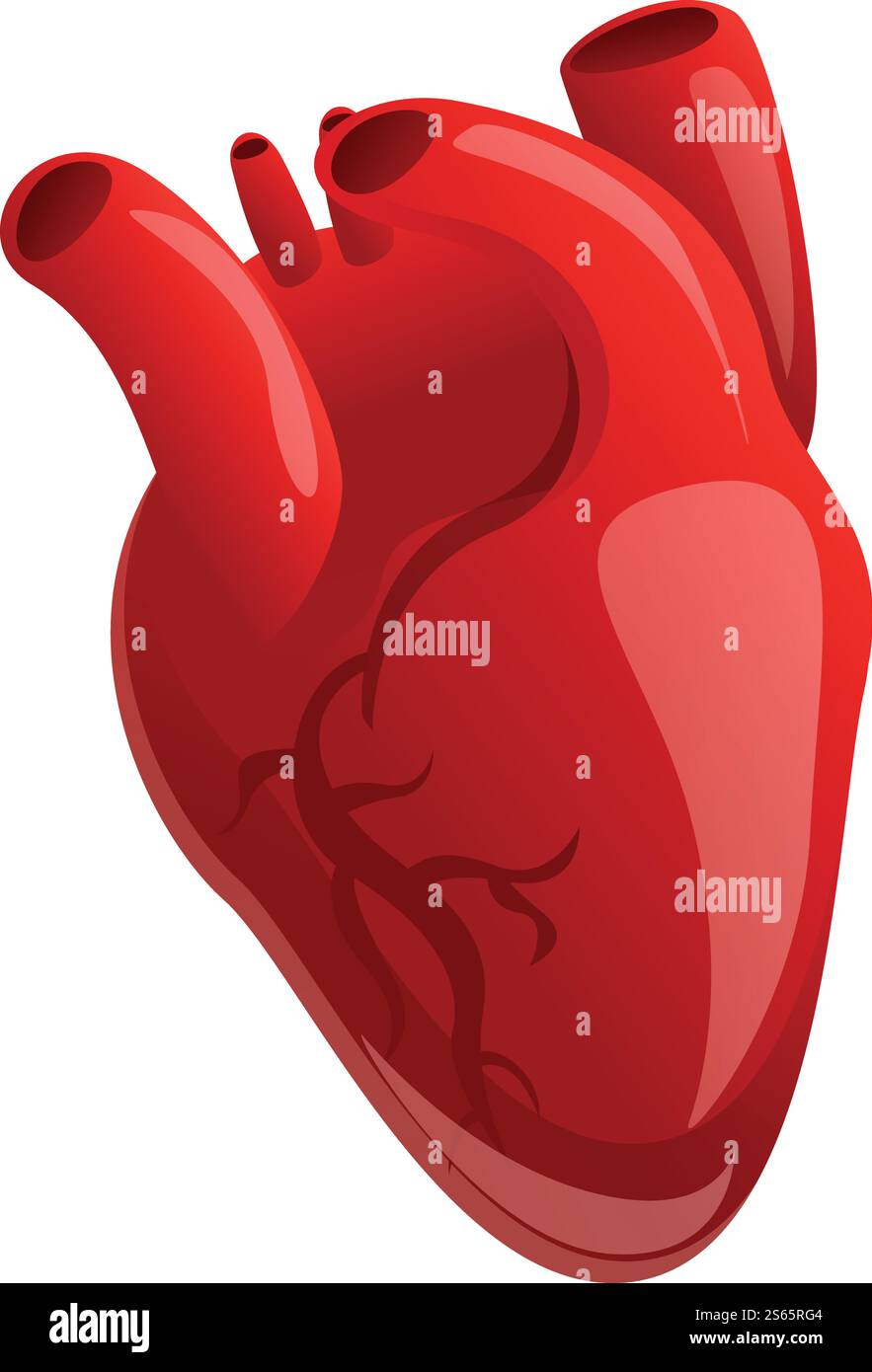 Cardiac human heart icon. Cartoon of cardiac human heart vector icon ...