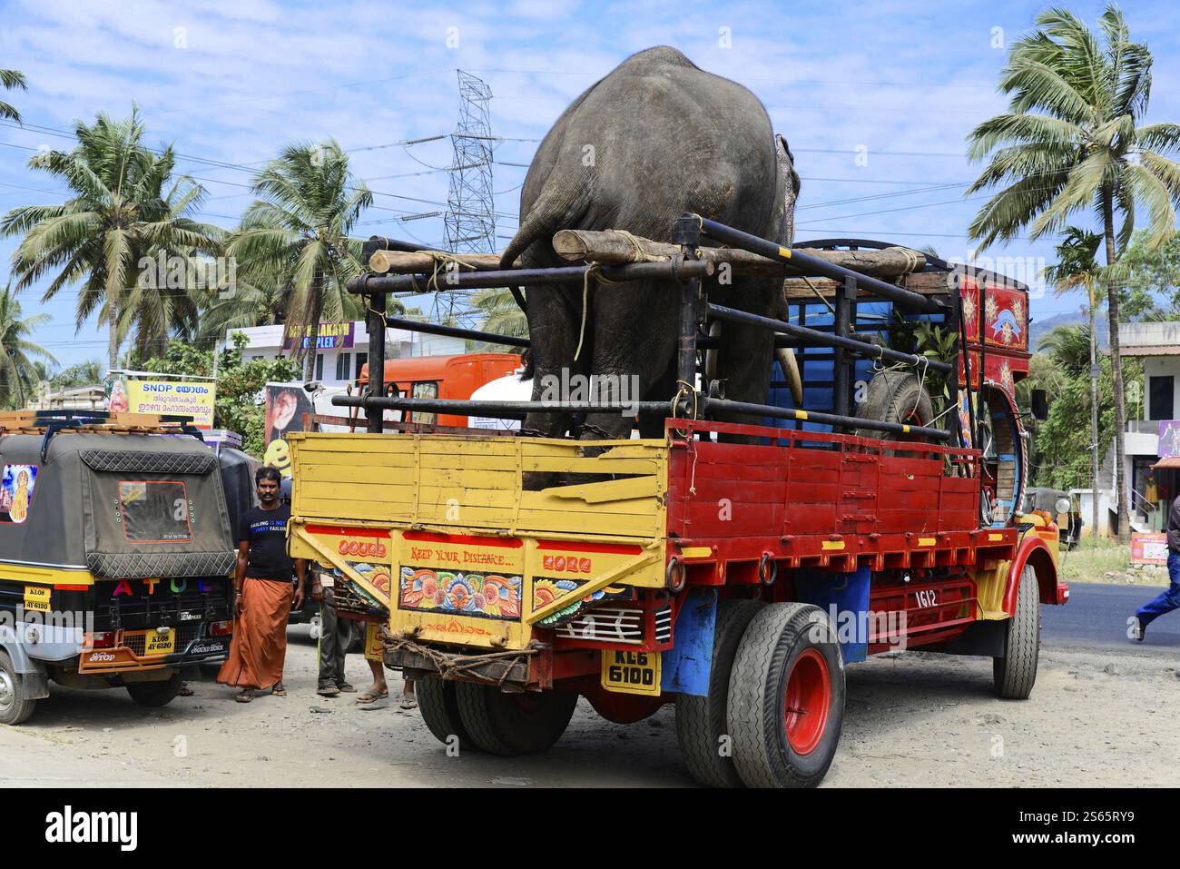 Elephant transport with truck, Fort Kochi, Kochi, Kerala, South India ...