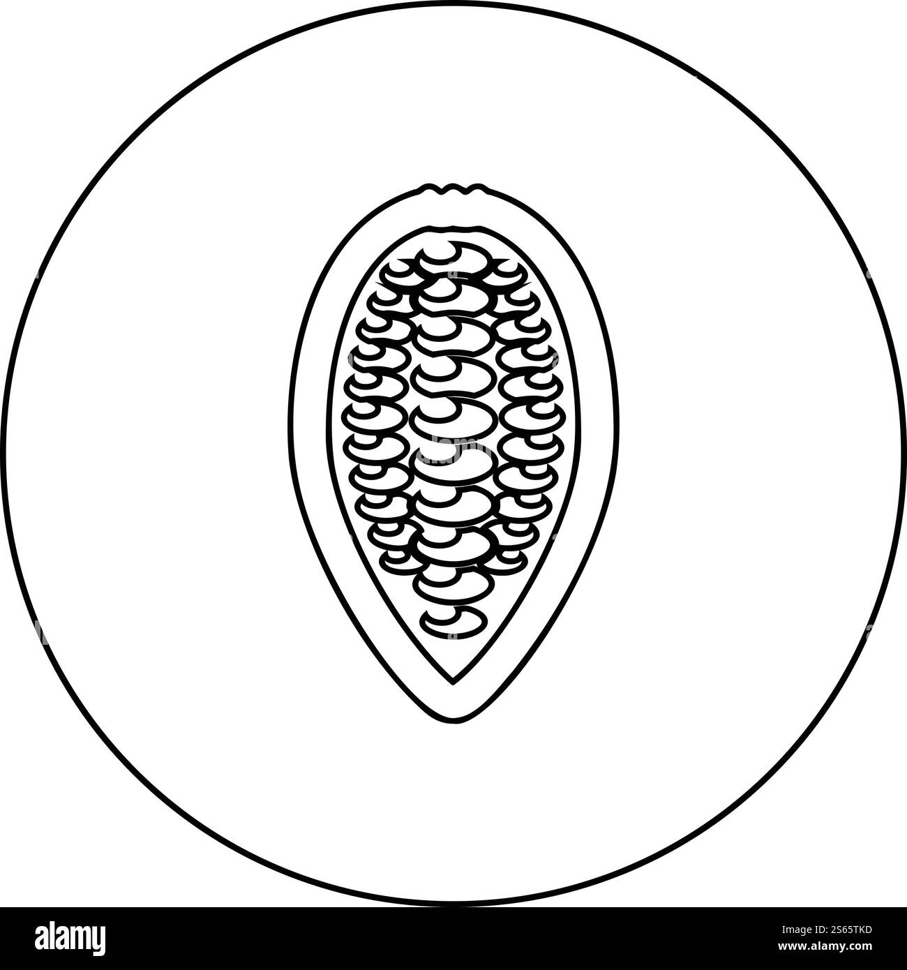 Cacao bob beans Cocoa fruit Chocolate seeds icon in circle round ...