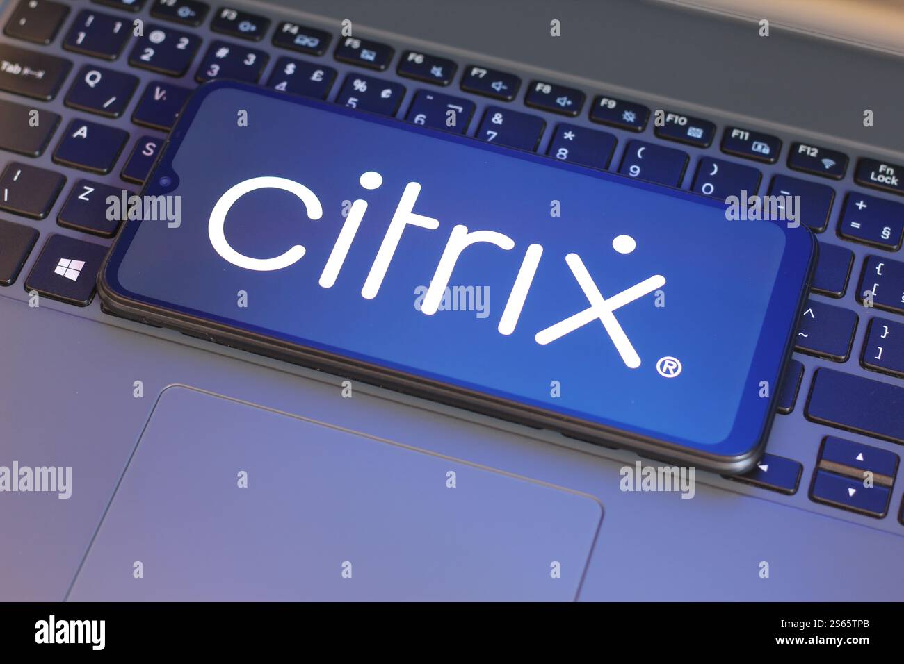 In this photo illustration, the Citrix Systems logo is seen displayed ...