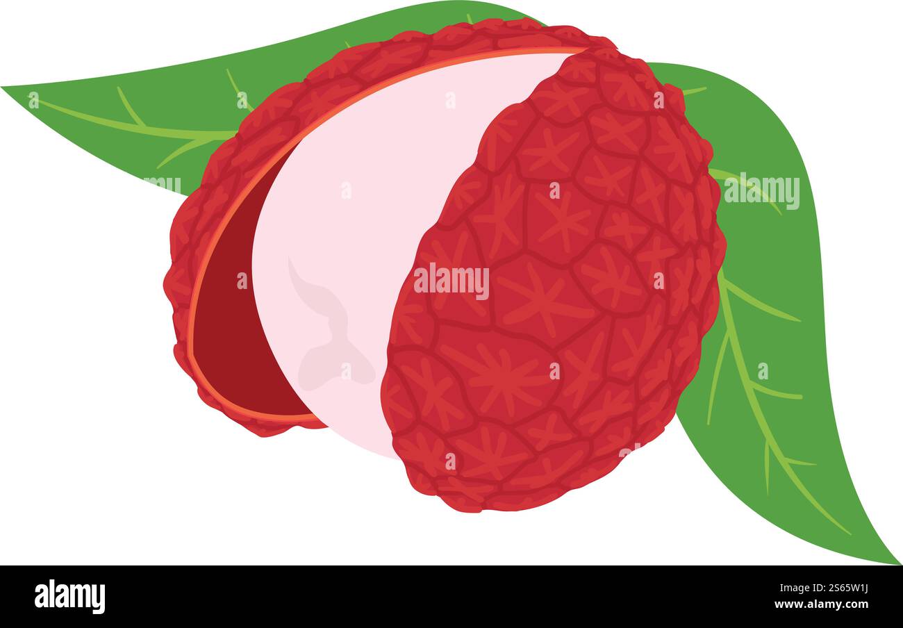 Lychee fruit icon. Isometric of lychee fruit vector icon for web design ...