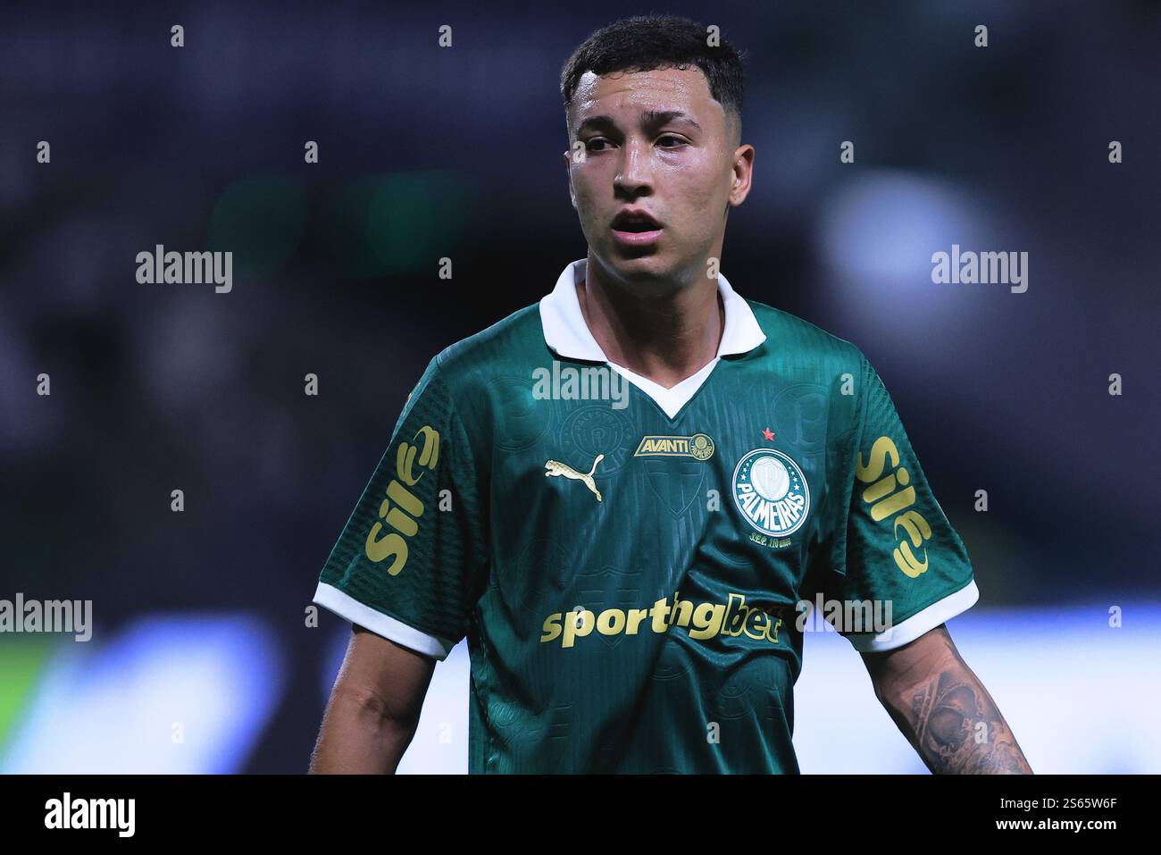 Sao Paulo, Brazil. 15th Jan, 2025. SP - SAO PAULO - 01/15/2025 ...