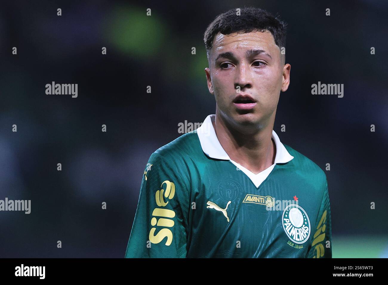 Sao Paulo, Brazil. 15th Jan, 2025. SP - SAO PAULO - 01/15/2025 ...