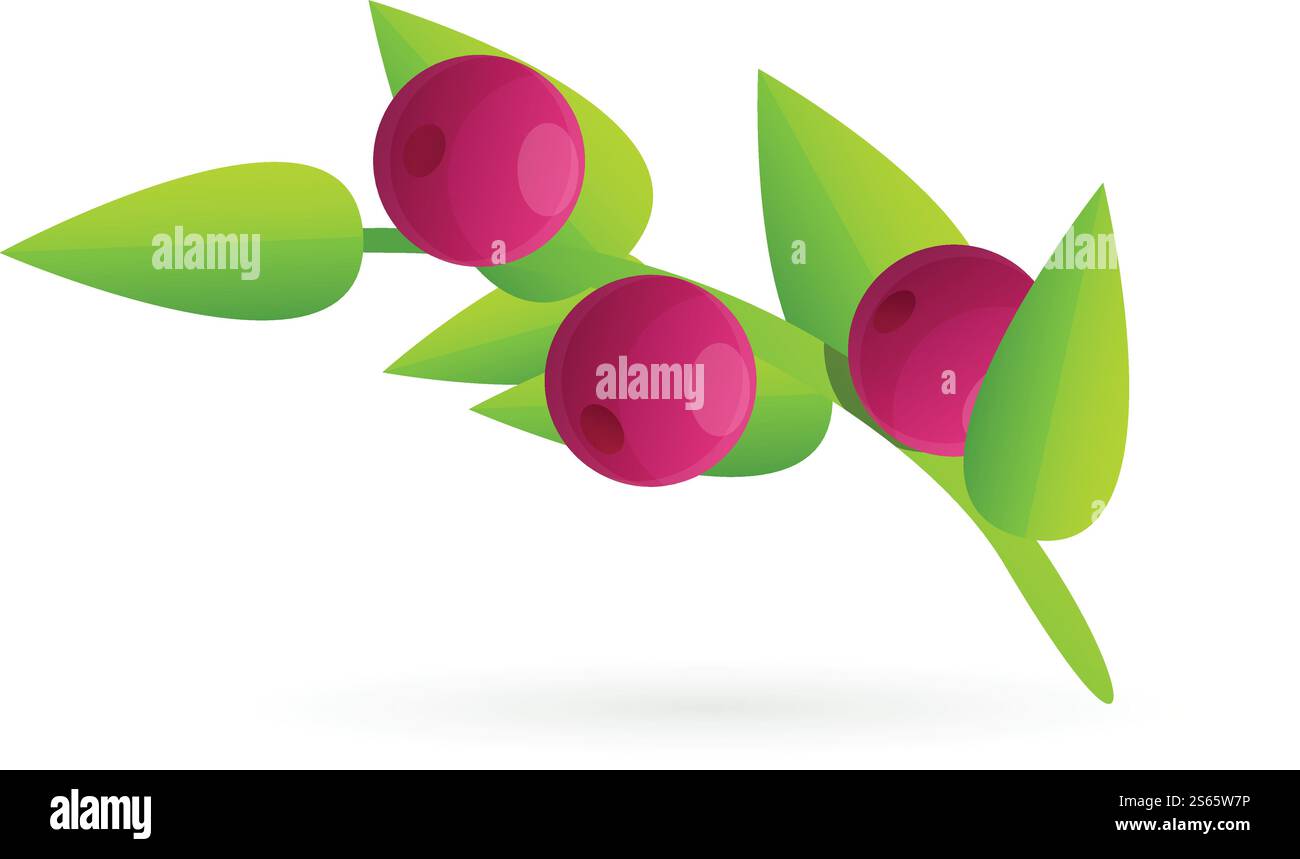 Red organic cowberry on Stock Vector Images - Alamy