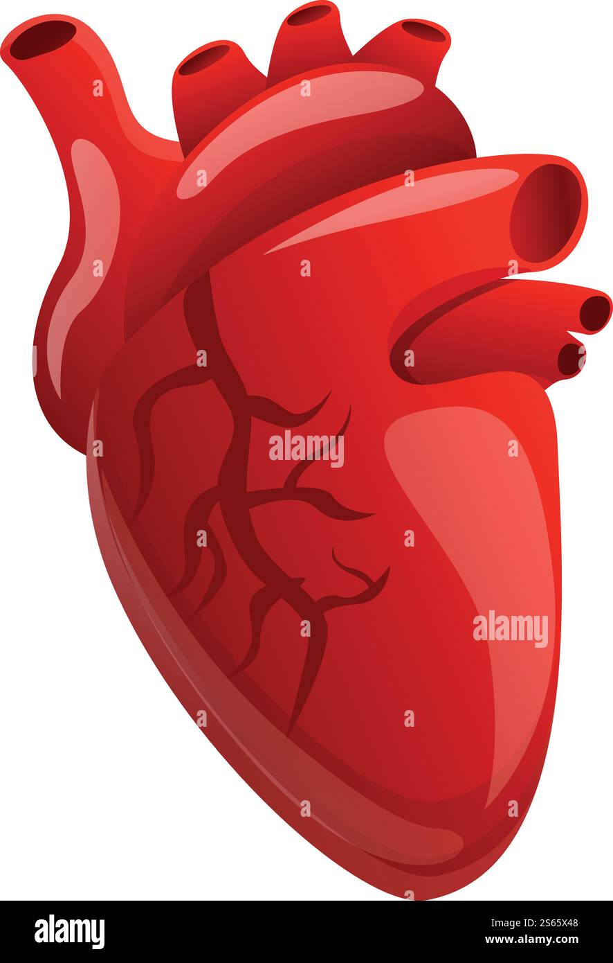 Body human heart icon. Cartoon of body human heart vector icon for web ...