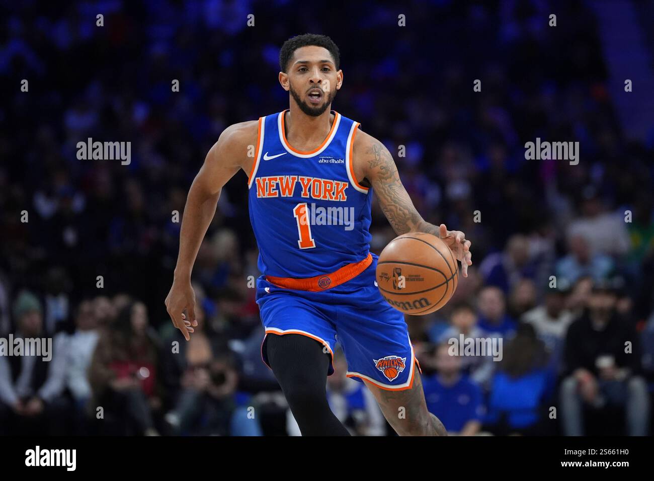 New York Knicks' Cameron Payne plays during an NBA basketball game ...