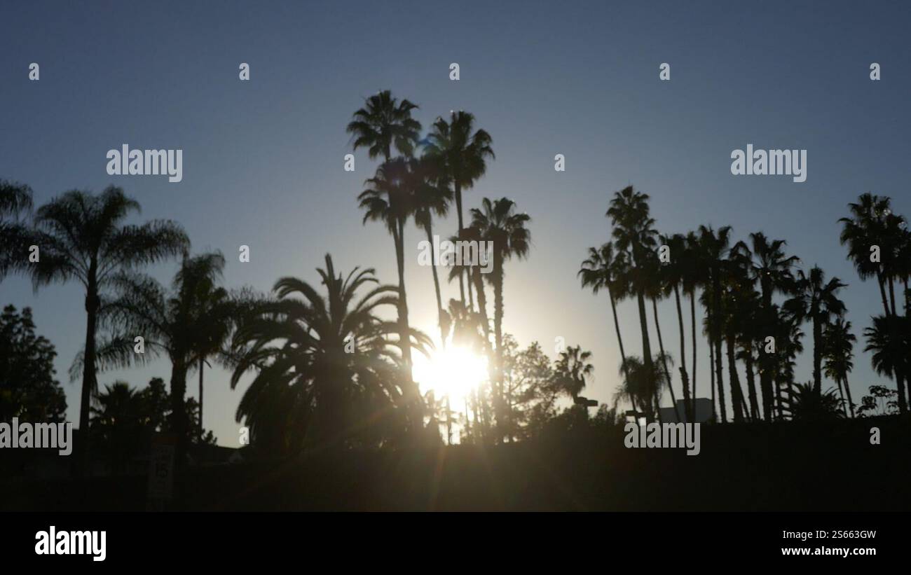 Los Angeles, California, USA 15th January 2025 Sunset and Trees during ...