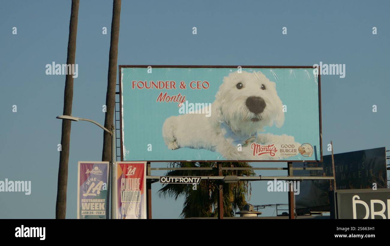 Los Angeles, California USA 15th January 2025 Monty Dog Montys Good ...