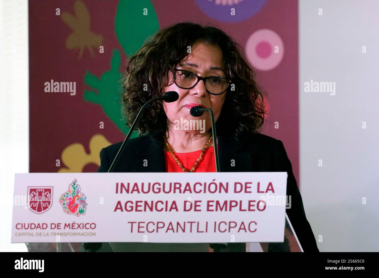 Mexico City's Secretary of Labor and Employment Promotion, Ines ...