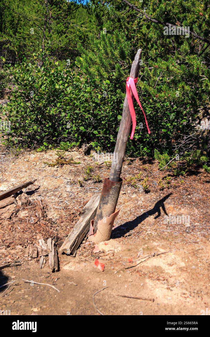 A wooden pole with a red ribbon tied to it. The pole is leaning against ...