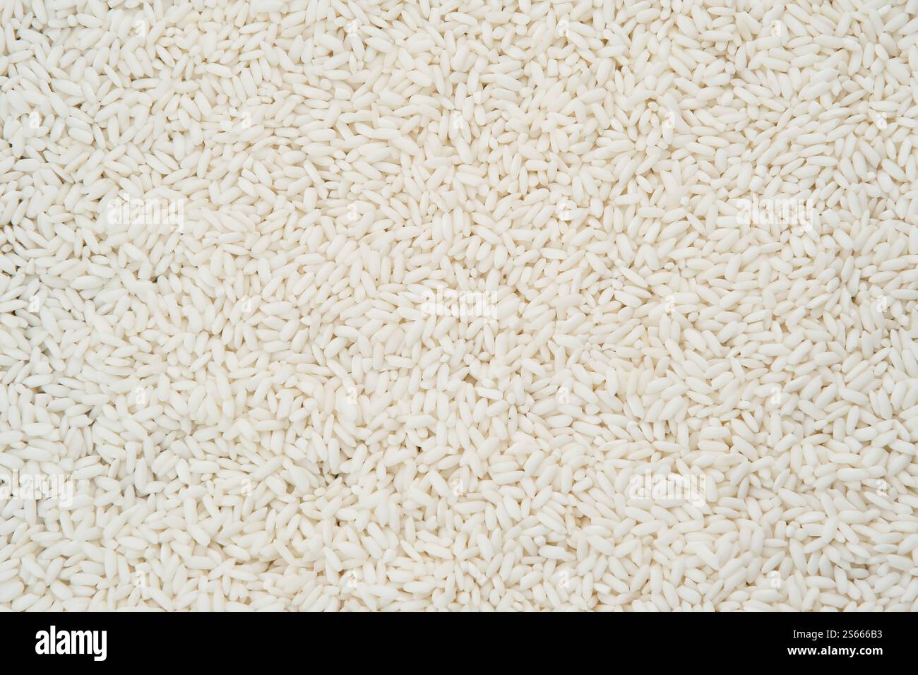 Organic Glutinous Rice or Sticky Rice Stock Photo - Alamy