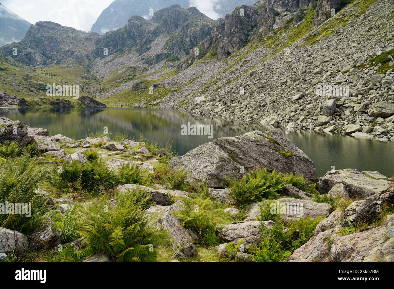 Lago Fiorenza,Parco Monviso, Naturpark Monviso, Naturschutzgebiet Cuneo ...