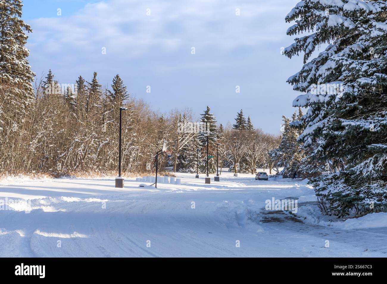 Edmonton's street covered with a fresh snow Stock Photo - Alamy