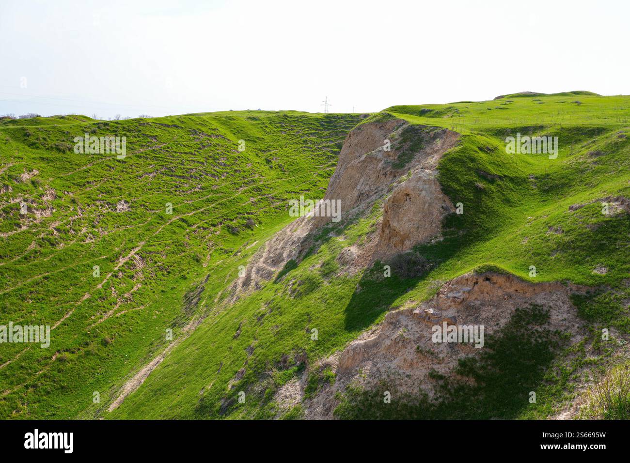 Afrasiyab (Afrosiyob) ancient settlement in ruins in Samarkand ...