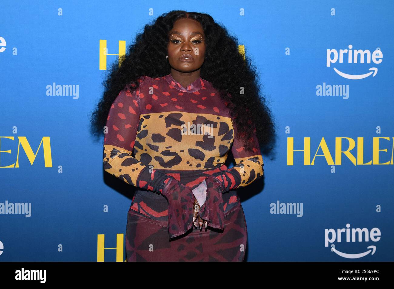 New York, USA. 15th Jan, 2025. Shoniqua Shandai attends the 'Harlem ...