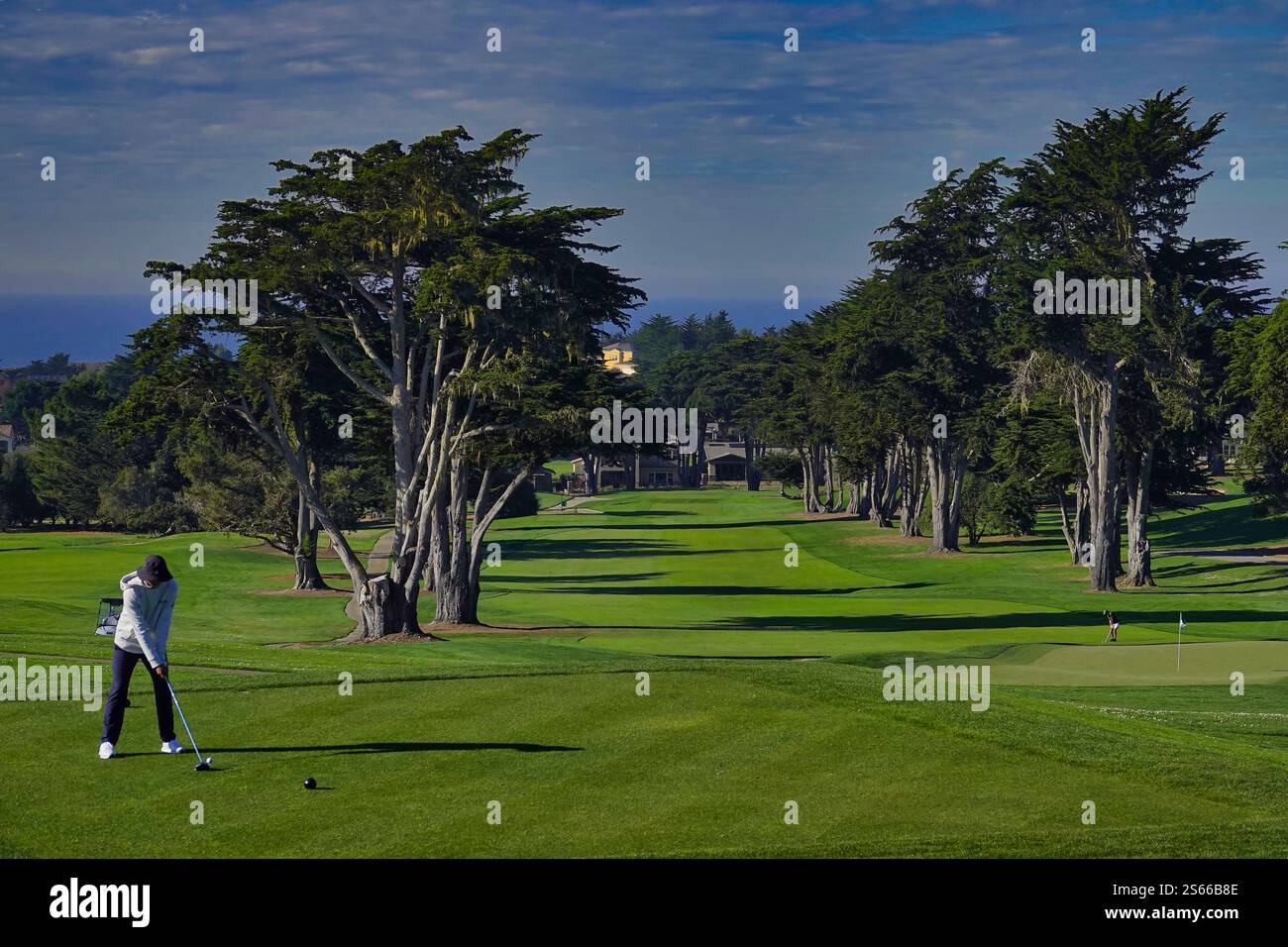 Seaside, California, USA 5th December, 2024 Lone golfer tees off at the ...
