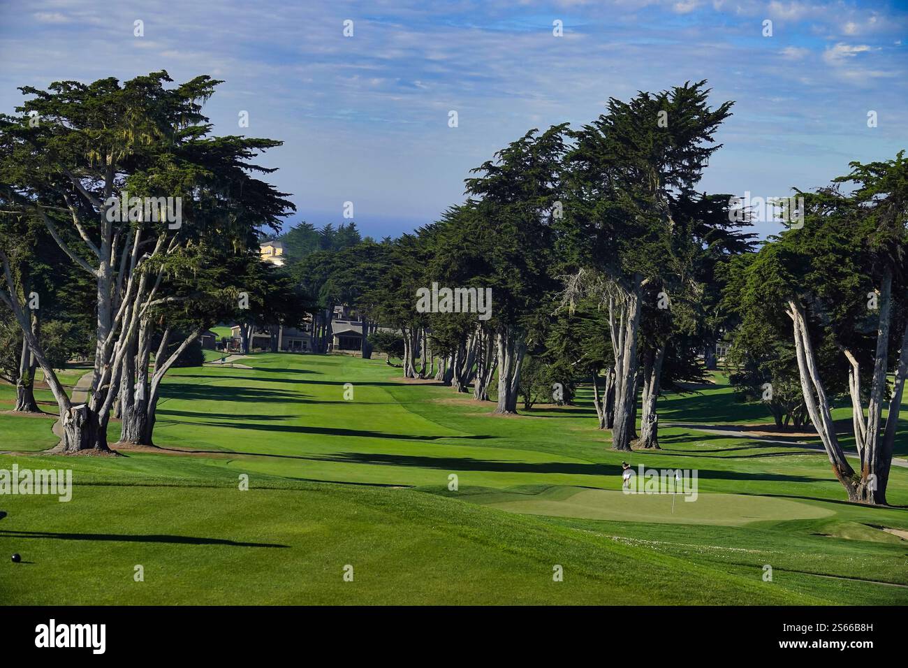 Seaside, California, USA 5th December, 2024 Lone golfer chips on to the ...
