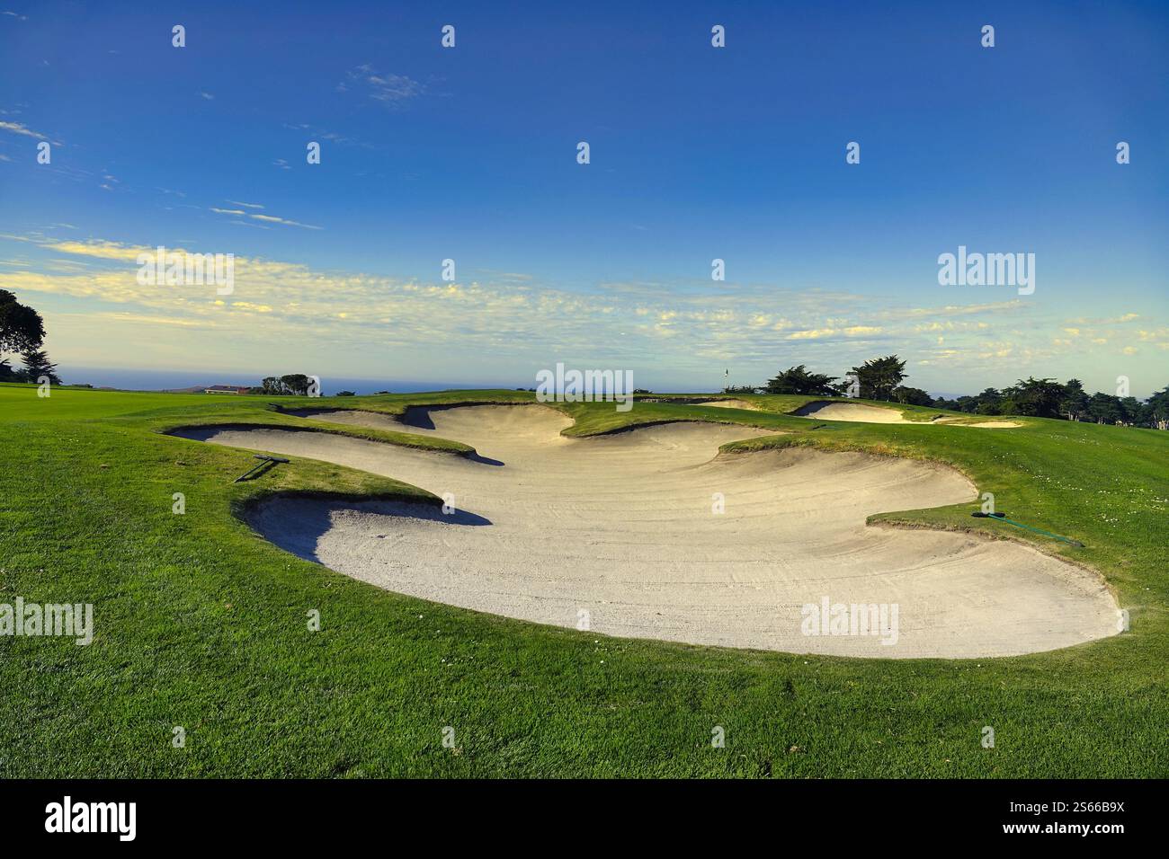 Seaside, California, USA 5th December, 2024 Front bunker protecting ...