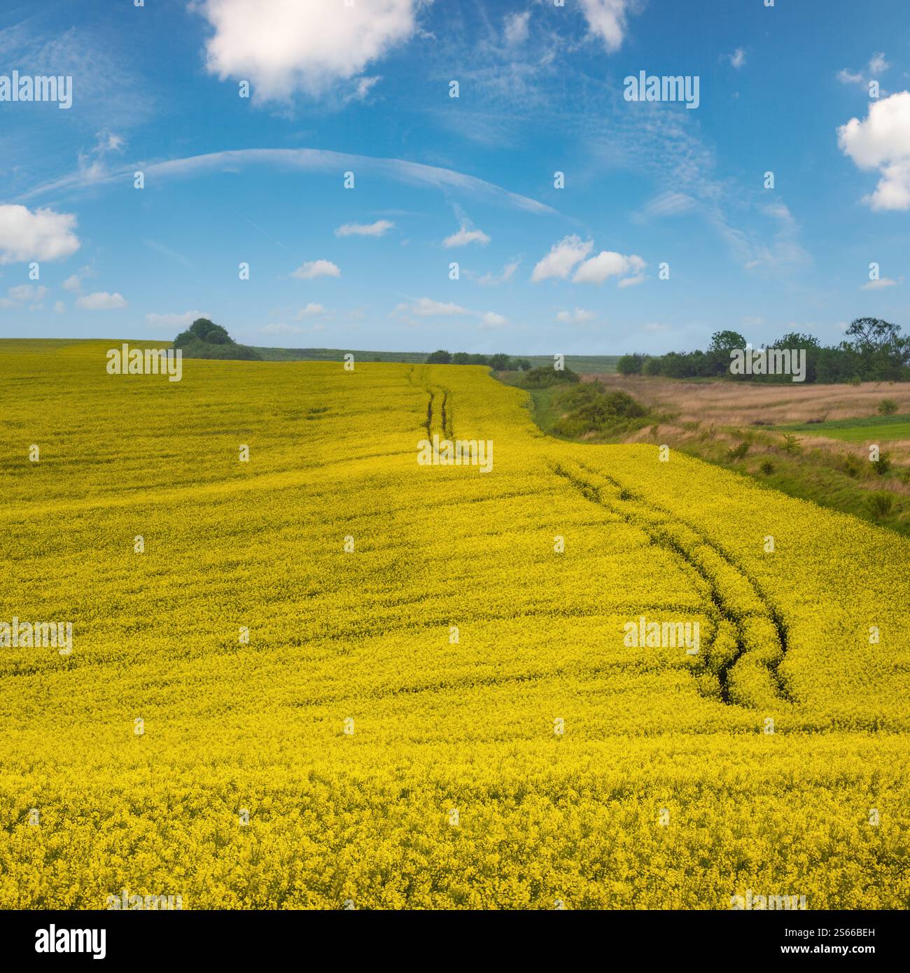Eco ground hi-res stock photography and images - Alamy