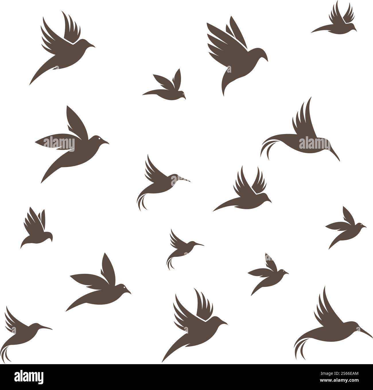 Bird background Template vector illustration Stock Vector Image & Art ...