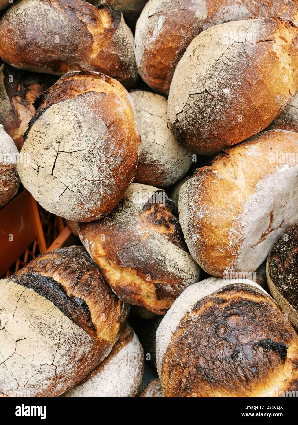 St. Galler Bread is a bread type made of rye flour and semi-white flour ...