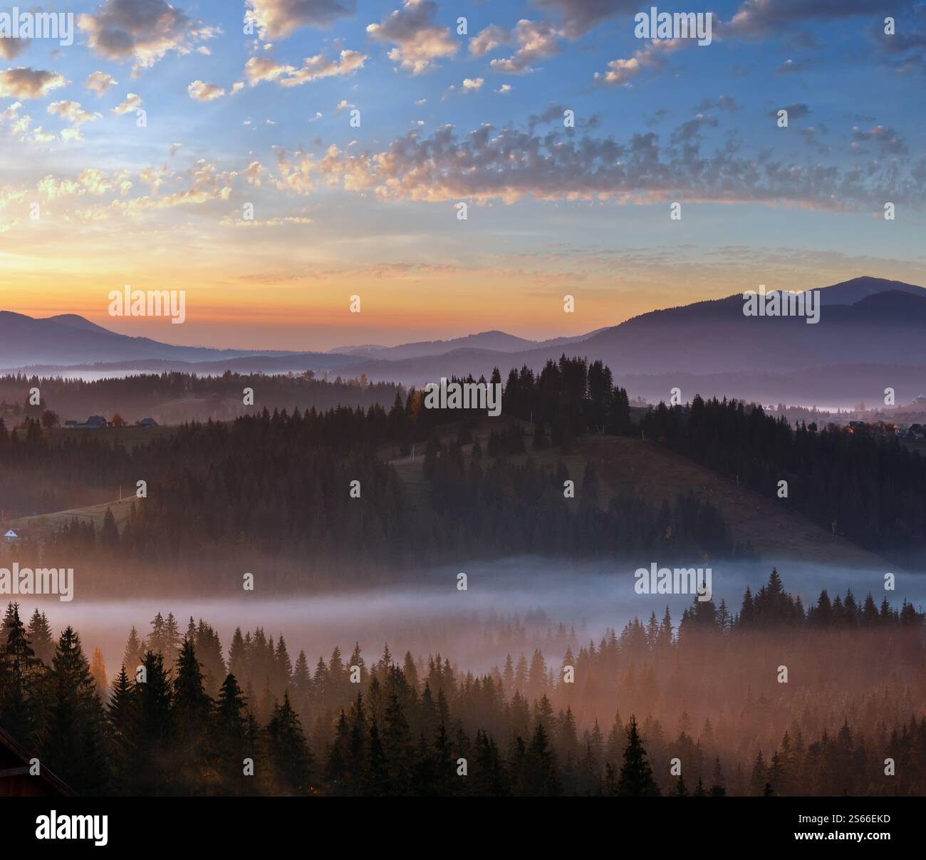 Morning fog over autumn hi-res stock photography and images - Alamy