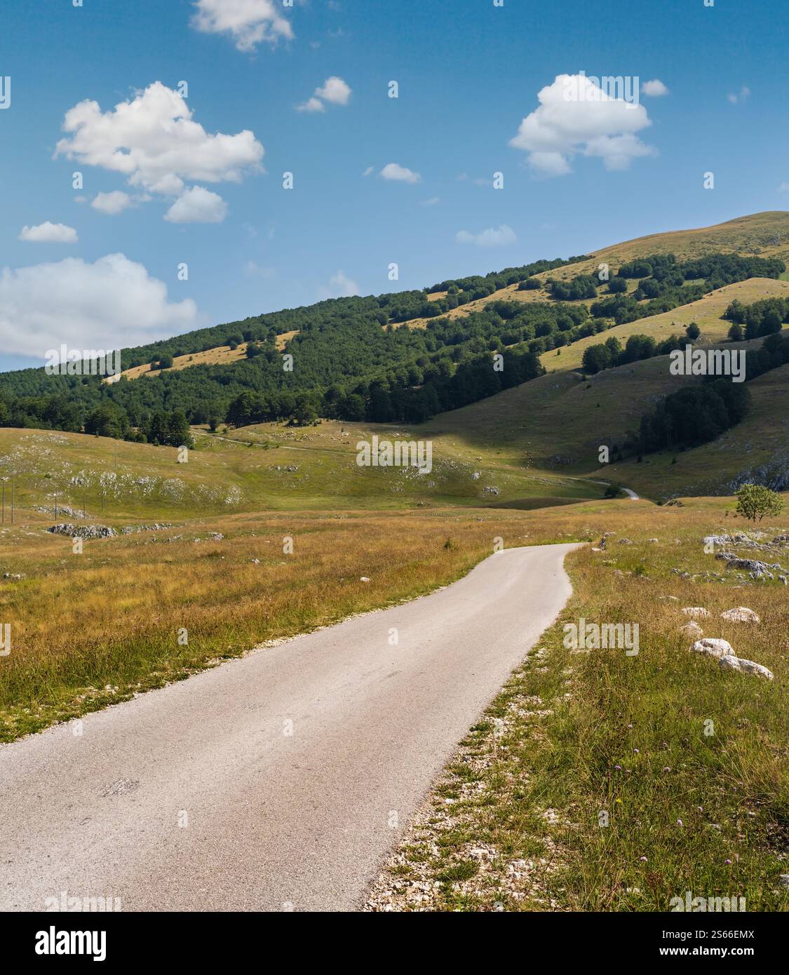 Flock of sheep on pasture near secondary countryside road through ...
