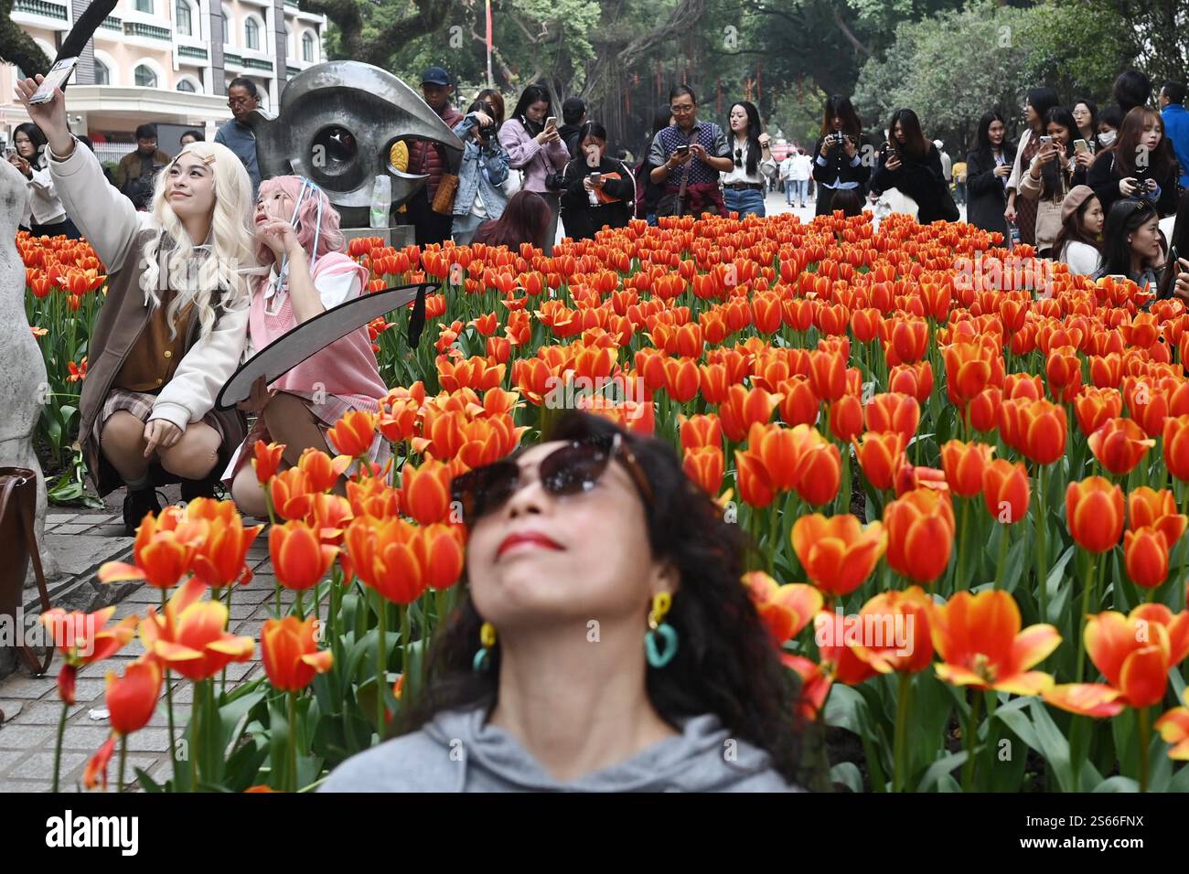 **CHINESE MAINLAND, HONG KONG, MACAU AND TAIWAN OUT** Tulip flowers are ...