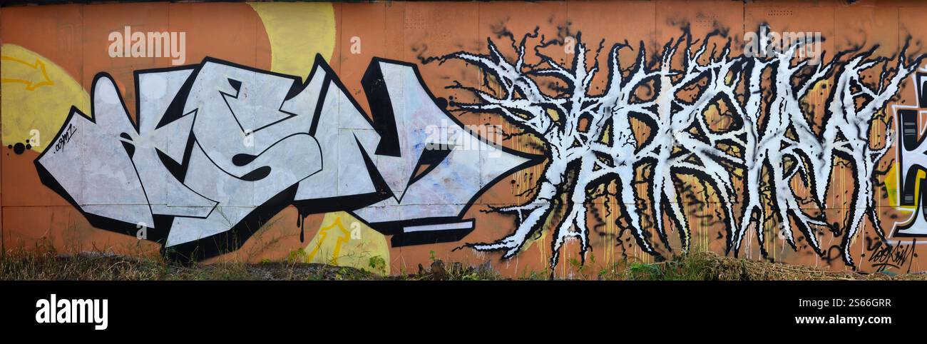 A photo of several graffiti artworks on the metal wall. Graffiti ...