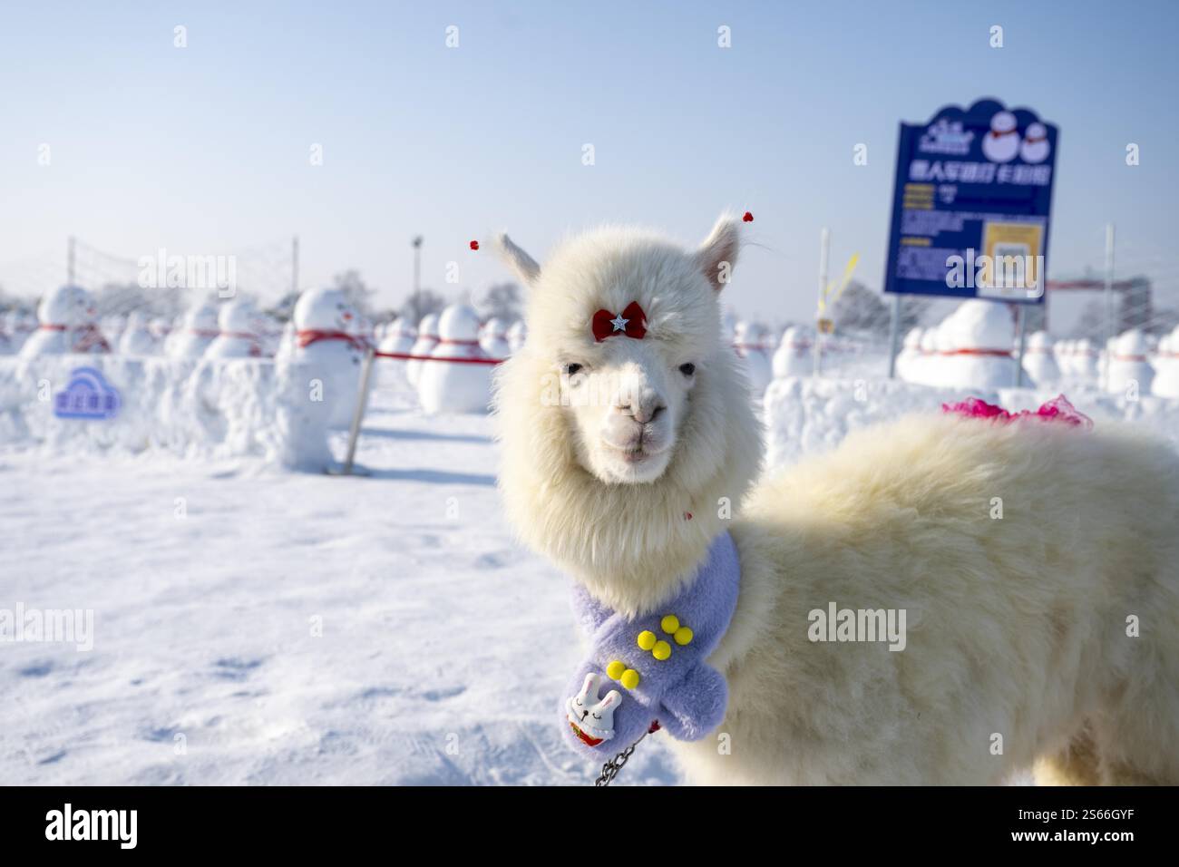 Various snowmen at a snow world in Harbin City, northeast China's ...