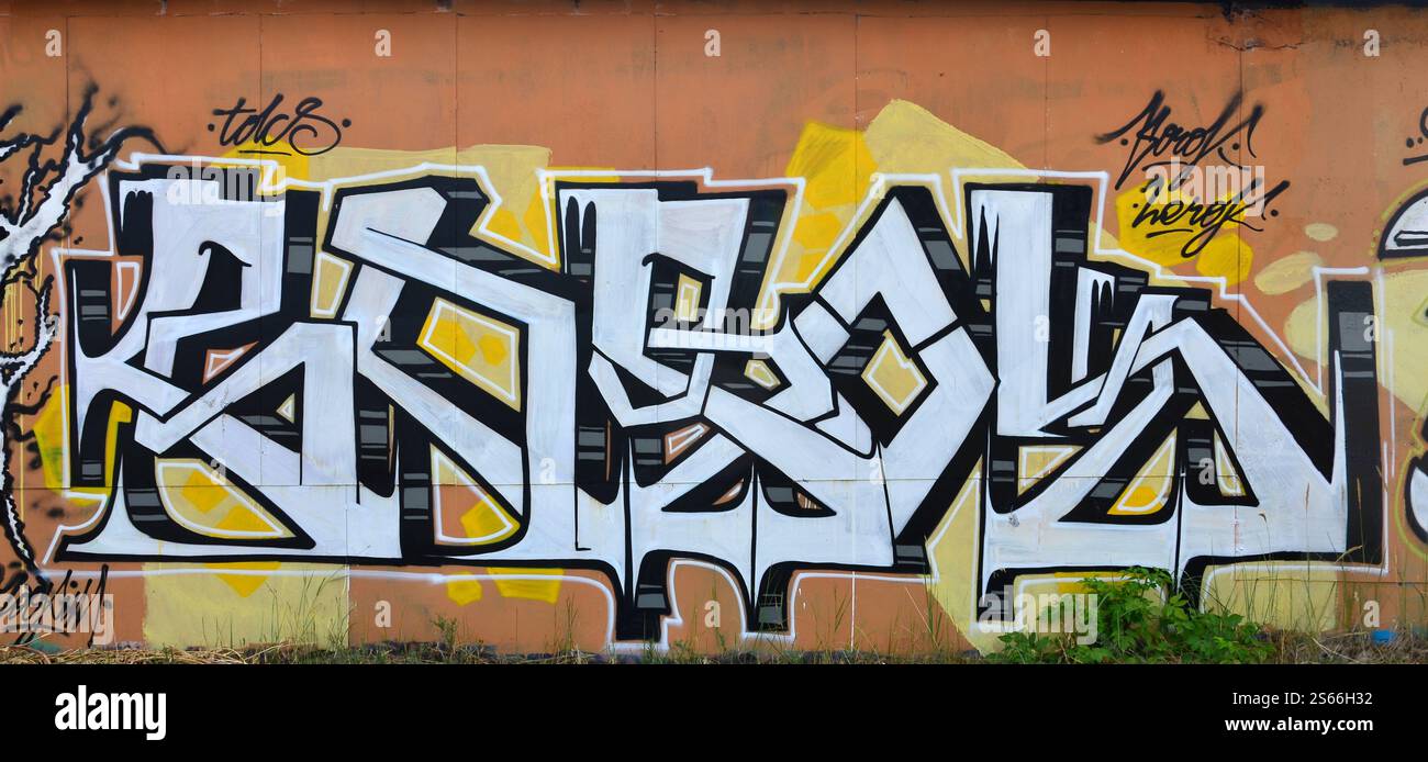 A photograph of a detailed wall artwork. Graffiti drawing is made with ...