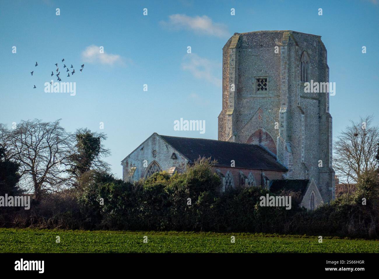 St Andrew Church, Felmingham church, Norfolk Stock Photo - Alamy