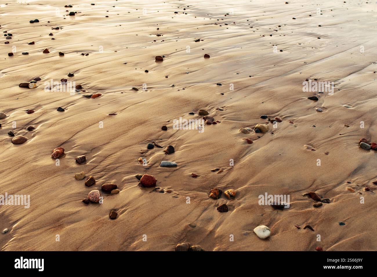 Sand texture. Sandy beach for background. Climate change. Drought ...