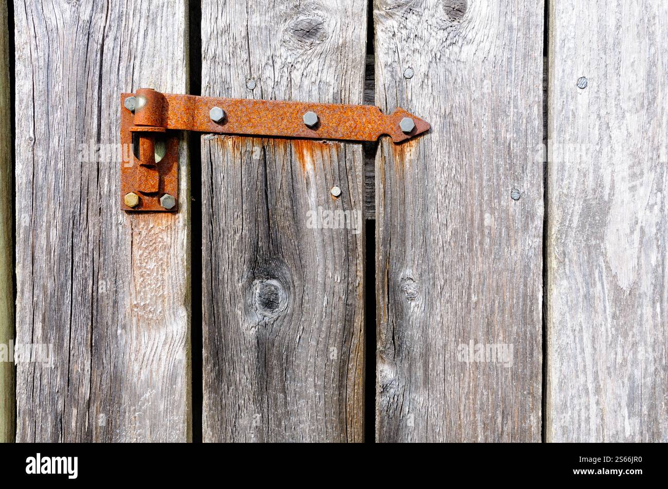 An aged wooden door showcases a weathered rusty hinge, capturing the beauty of decay and history ...
